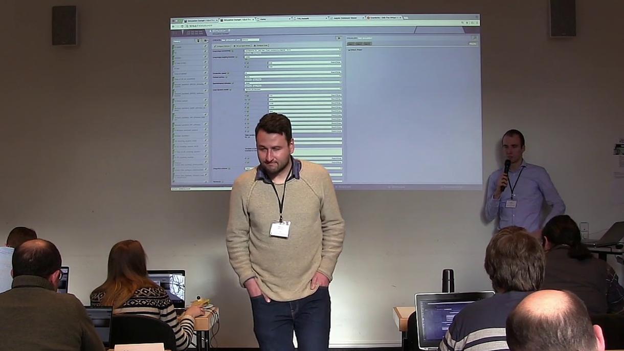 The Virtual Brain: LEARN: Hands-On: Introduction to the GUI