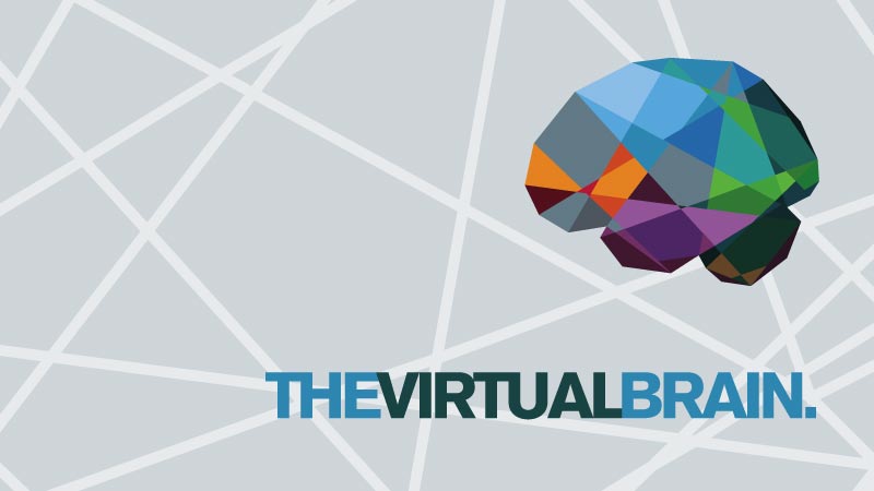 The Virtual Brain: Latest Developments